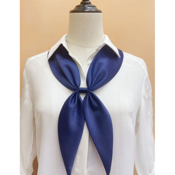 Professional Hospitality Accent Scarf